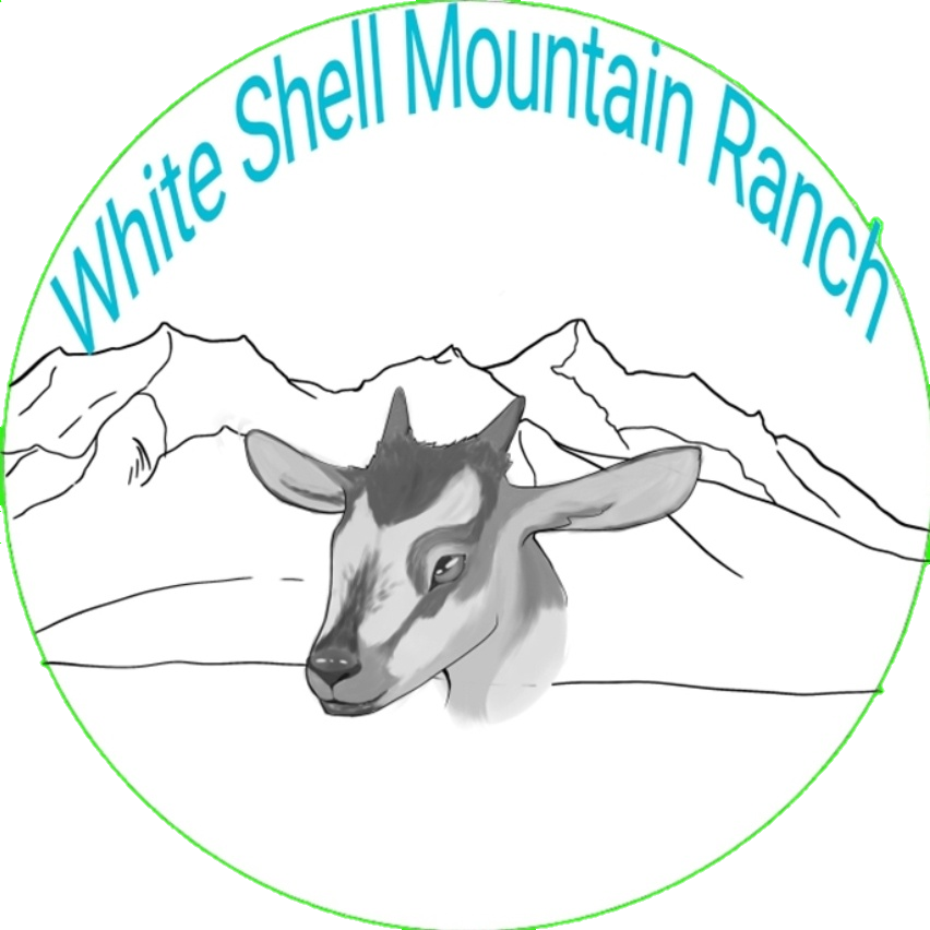 Home | White Shell Mountain Ranch